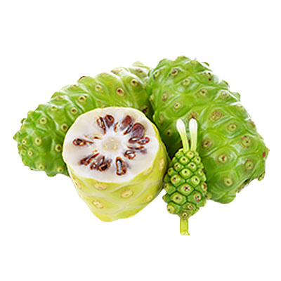 Dried noni fruit is naturally ripened noni fruit 100%natural